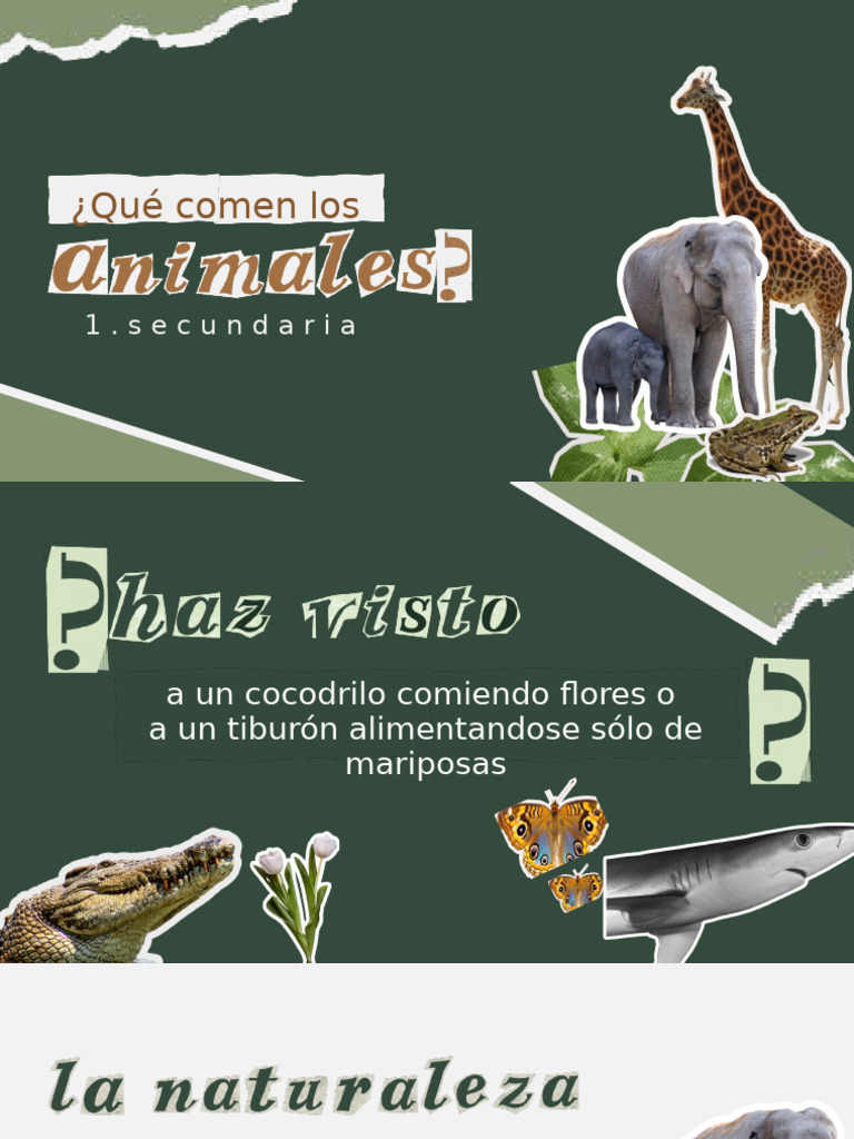 Presentación Educativa Sobre Que Comen Los Animales Ilustrativa Verde y ...