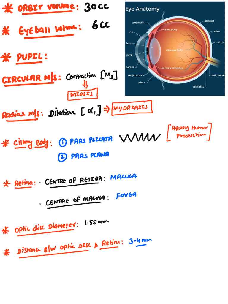 Ophthalmology 5 | PDF