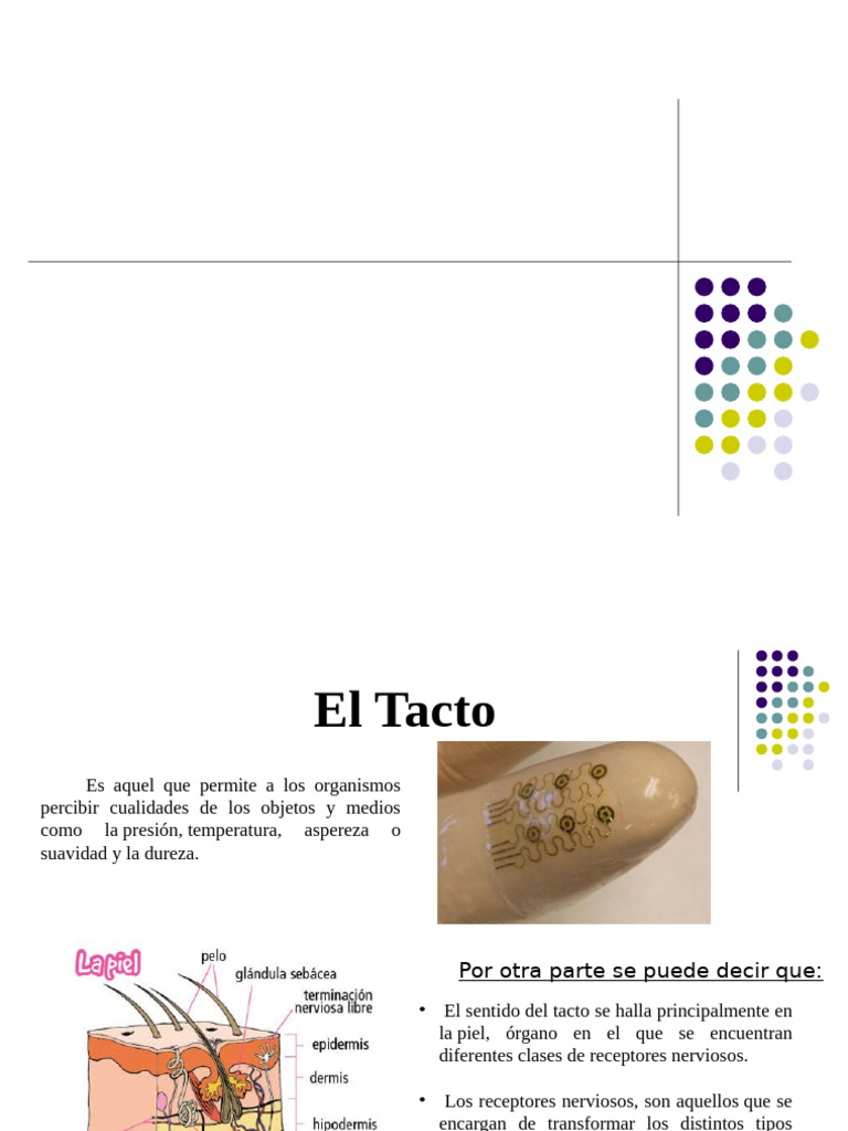 B El Tacto | PDF | Enfermedades y trastornos | Especialidades Medicas