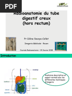 Duodénum | PDF | Pancréas | Anatomie