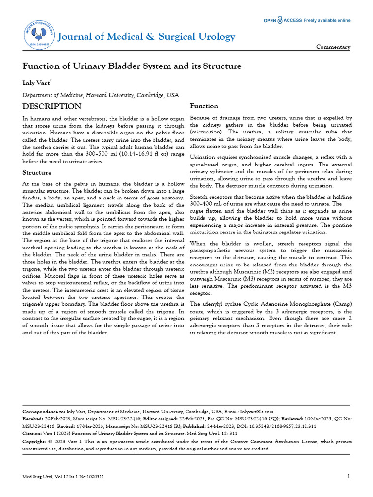 Function of Urinary Bladder System and Its Structure | PDF | Urinary ...