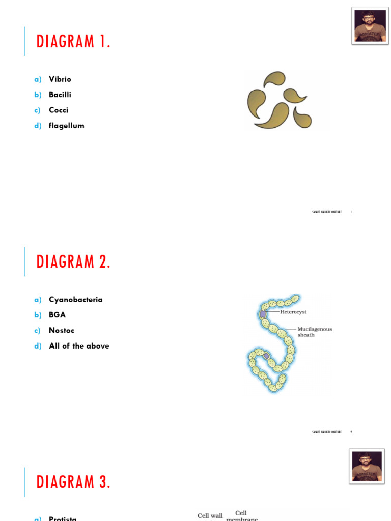 NCERT DIAGRAM (Class 11th).. | PDF