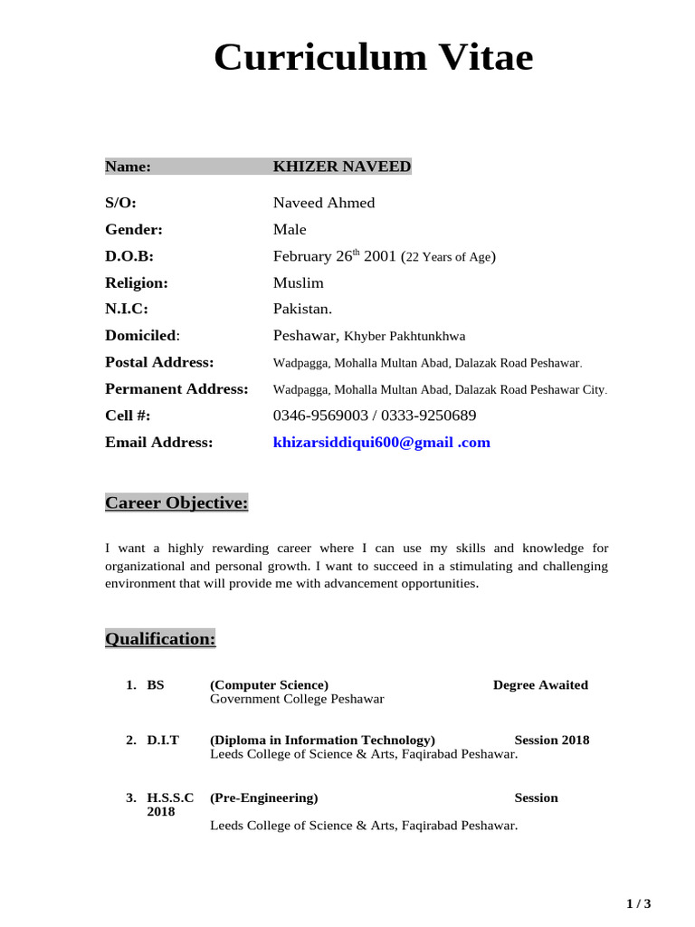 CV_KHIZER NAVEED-2 | PDF