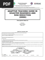 Detailed Lesson Plan DRRR | PDF | Emergency Management | Disaster Risk ...