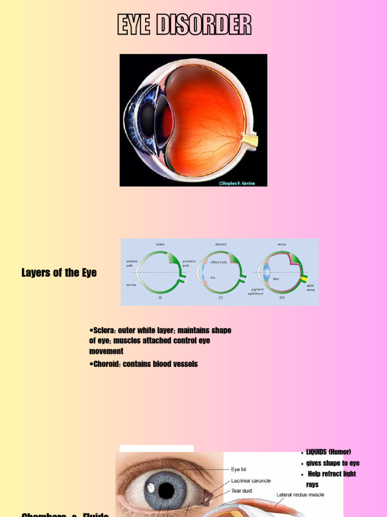 Comprehensive Guide to Eye Disorders | PDF | Eye | Ophthalmology
