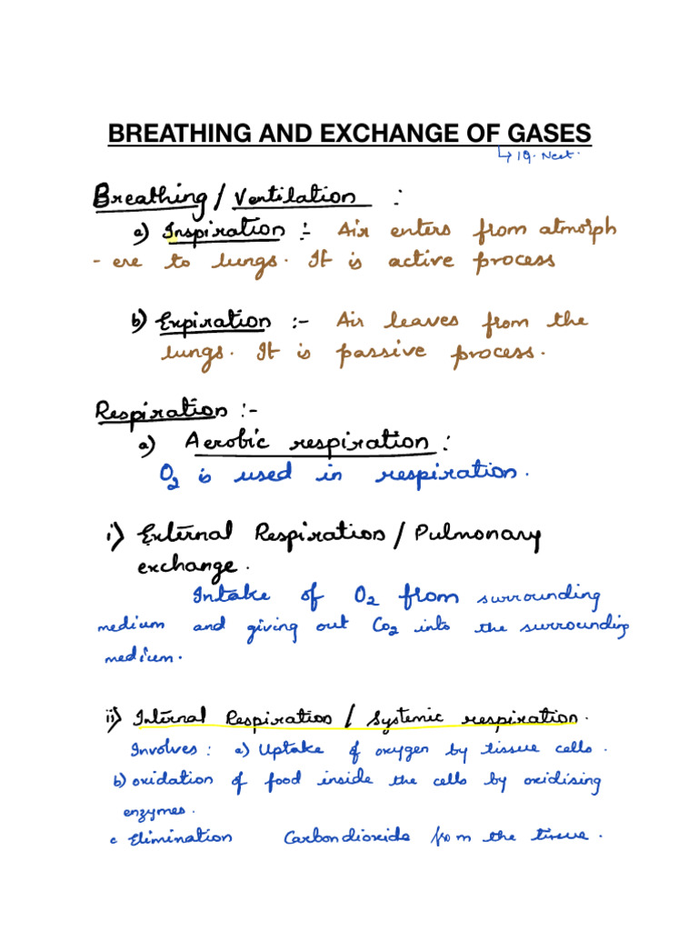 Respiration Leaders Notes | PDF