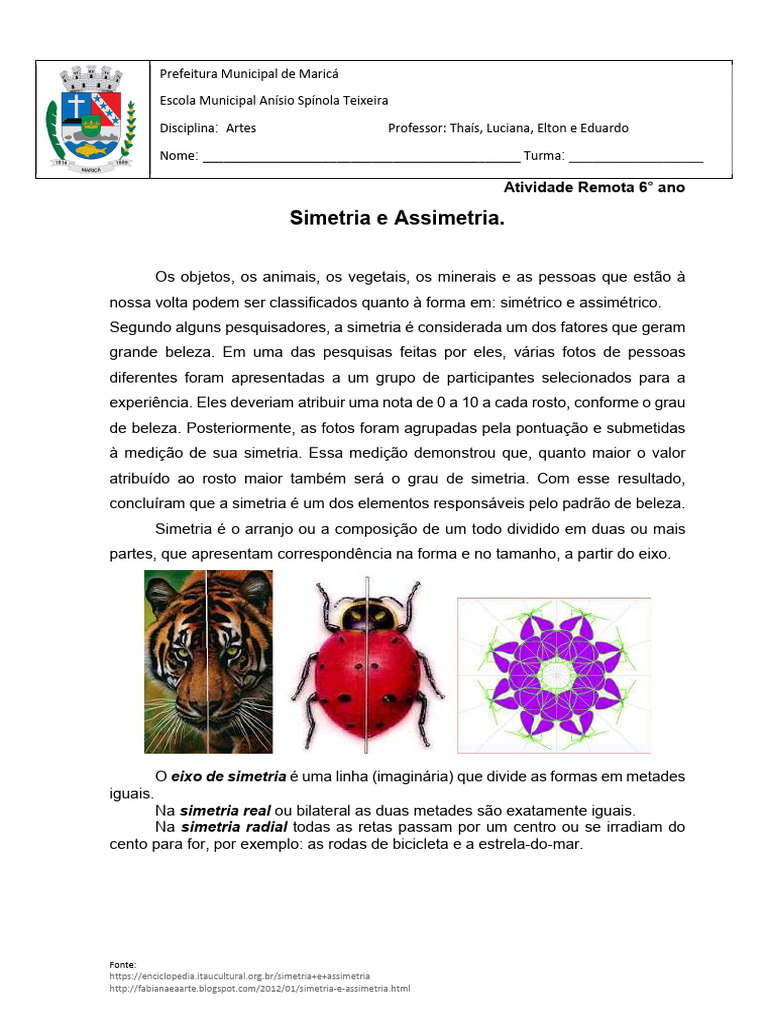 Simetria e Assimetria na Arte | PDF | Simetria | Beleza