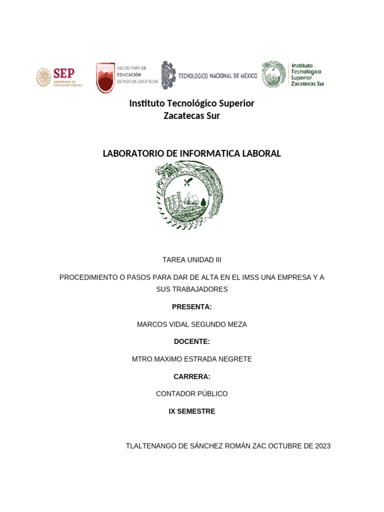 Tarea 3 Dar de Alta en Imss | PDF