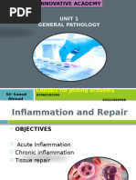 Five Cardinal Signs of Inflammation | PDF | Inflammation | Nonsteroidal ...
