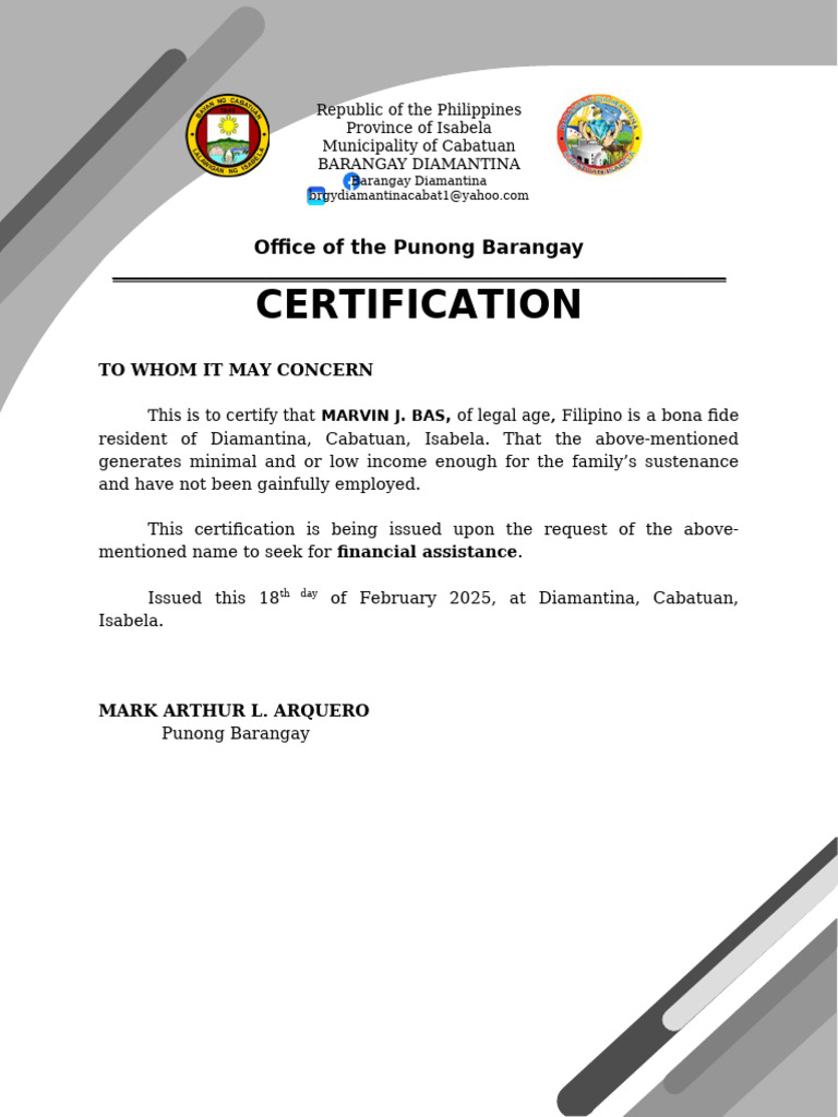 Low Income Certification for Scholarship | PDF