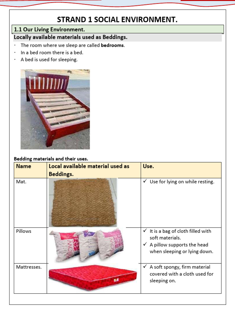 Grade 3 Rationalised Environmental Activies Notes Term 1, 2 &3 | PDF ...