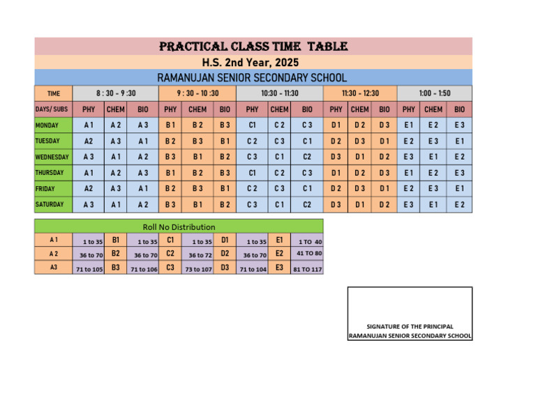 2nd Year Practical Class Timetable | PDF