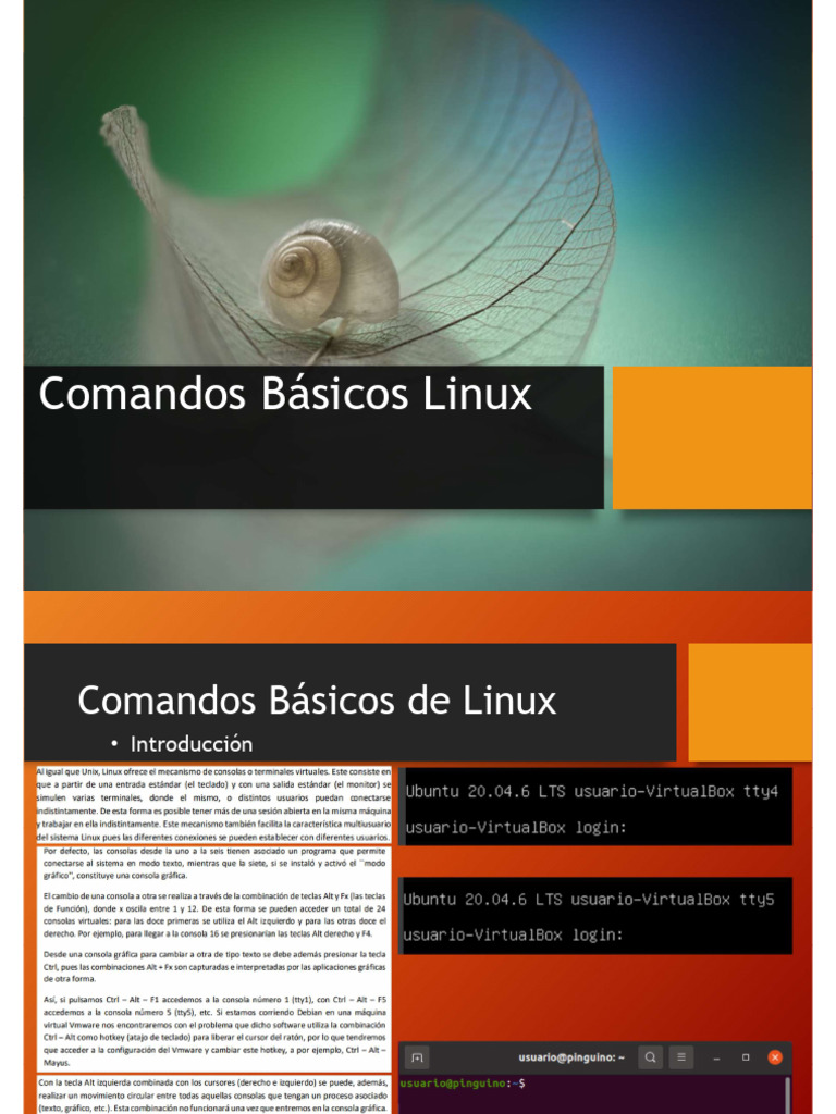 Presentacion Comandos Básicos GNU-LINUX | PDF