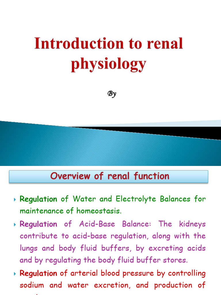 L1 Introduction To Renal Physiology&renal Blood Flow | PDF | Kidney ...