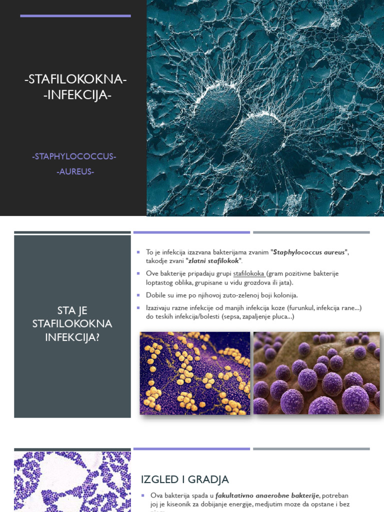 Staphylococcus Aureus | PDF