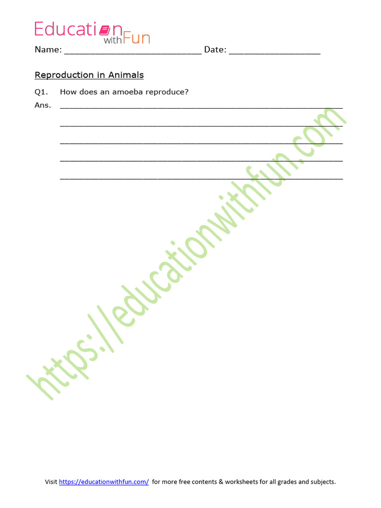 Reproduction in Animals Worksheet 12 | PDF