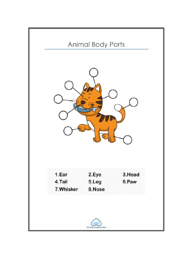 Animals body parts | PDF