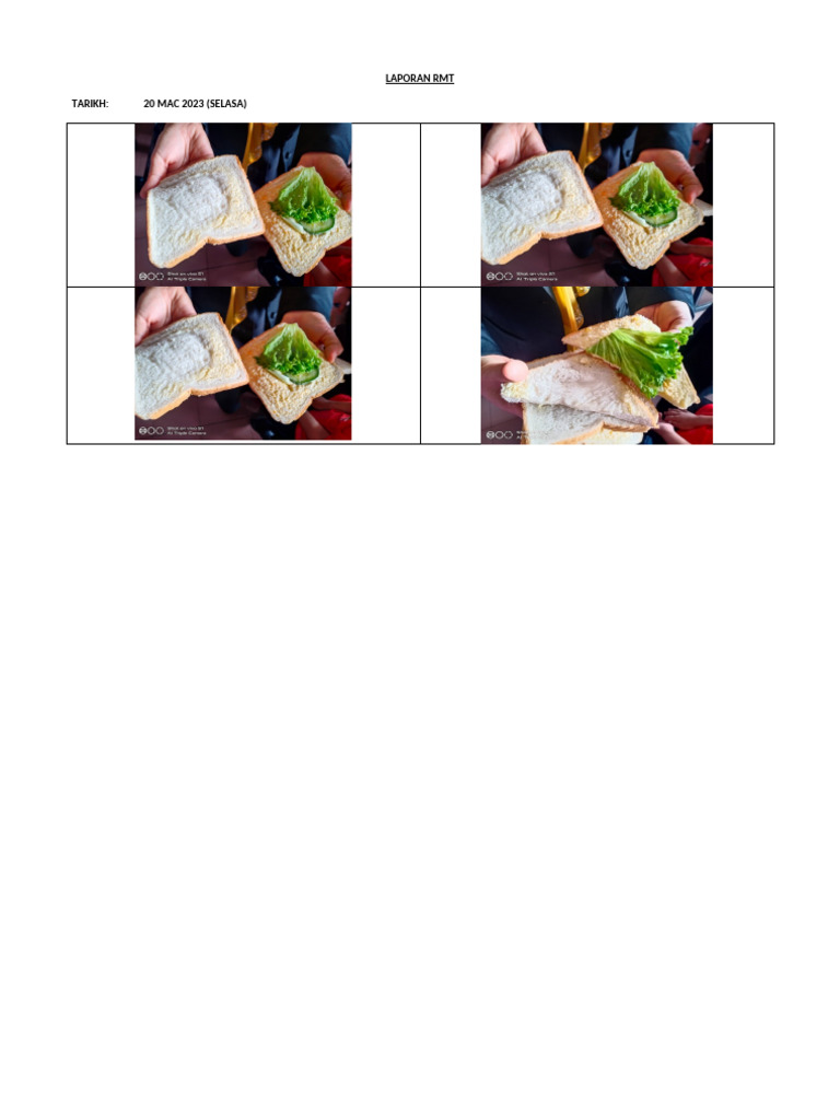 Laporan RMT | PDF