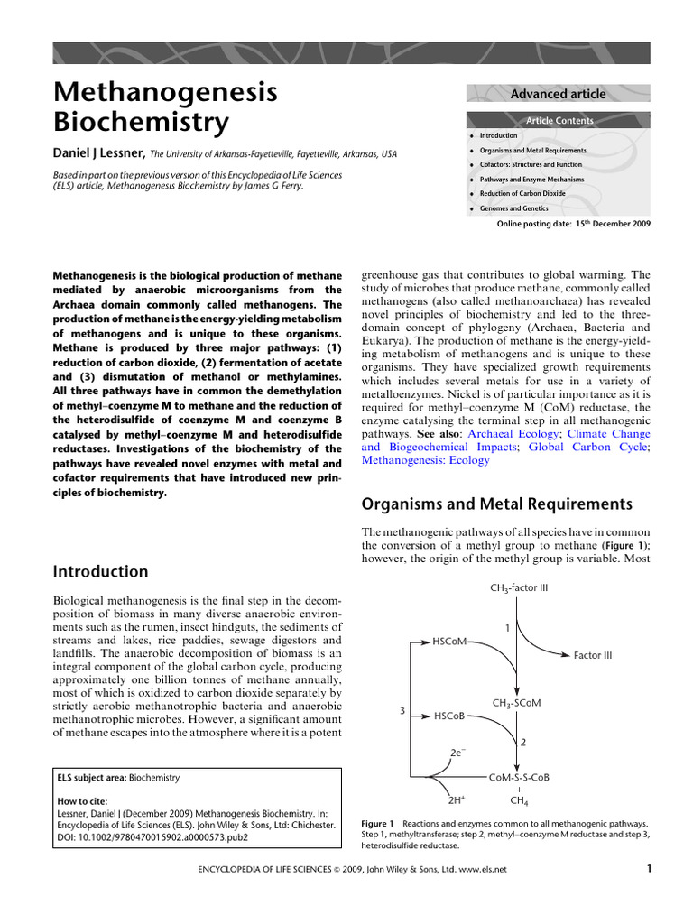 Methanogenesis Biochemistry-Lessner | PDF | Cofactor (Biochemistry) | Enzyme