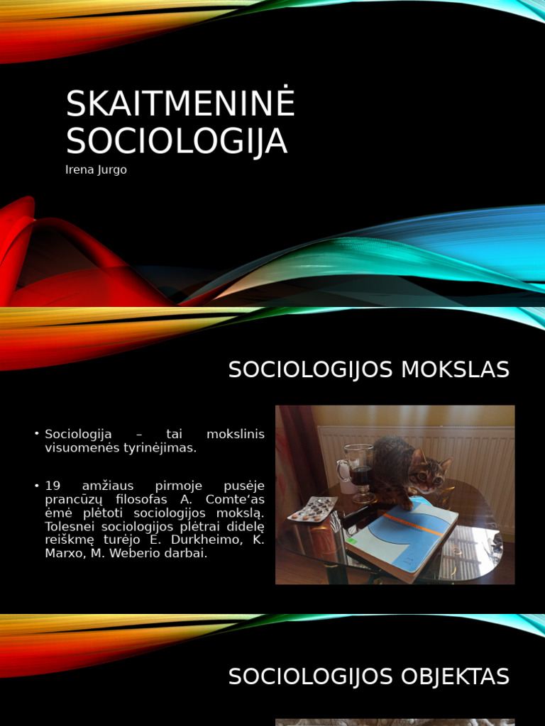 SkaitMeninė Sociologija | PDF