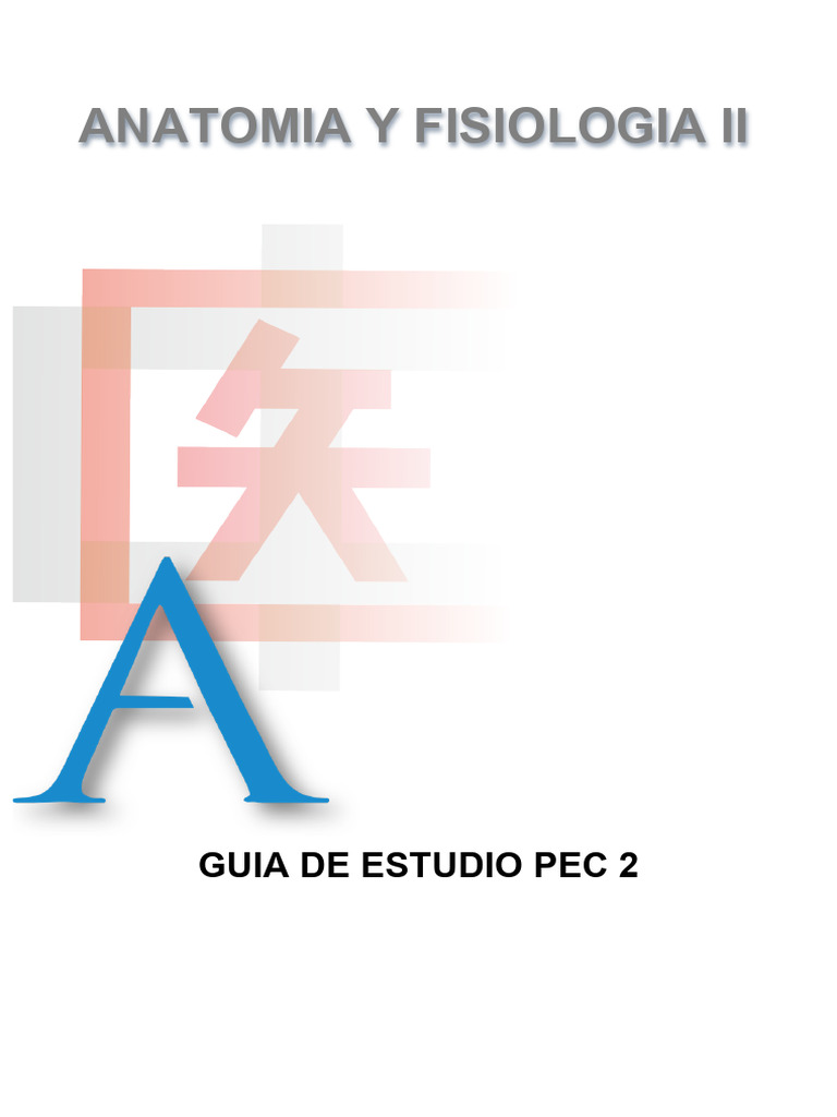 GUIA ES PEC2 AFII | PDF | Corazón | Sistema circulatorio