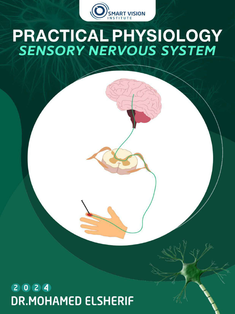 Physio Practical by DR - El-Sherif (Sensory) | PDF | Somatosensory System | Senses