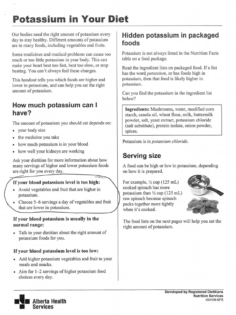 Potassium Handout | PDF