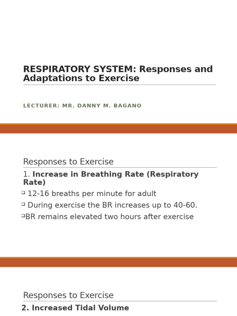 RESPIRATORY SYSTEM Responses and Adaptations To Exercise | PDF