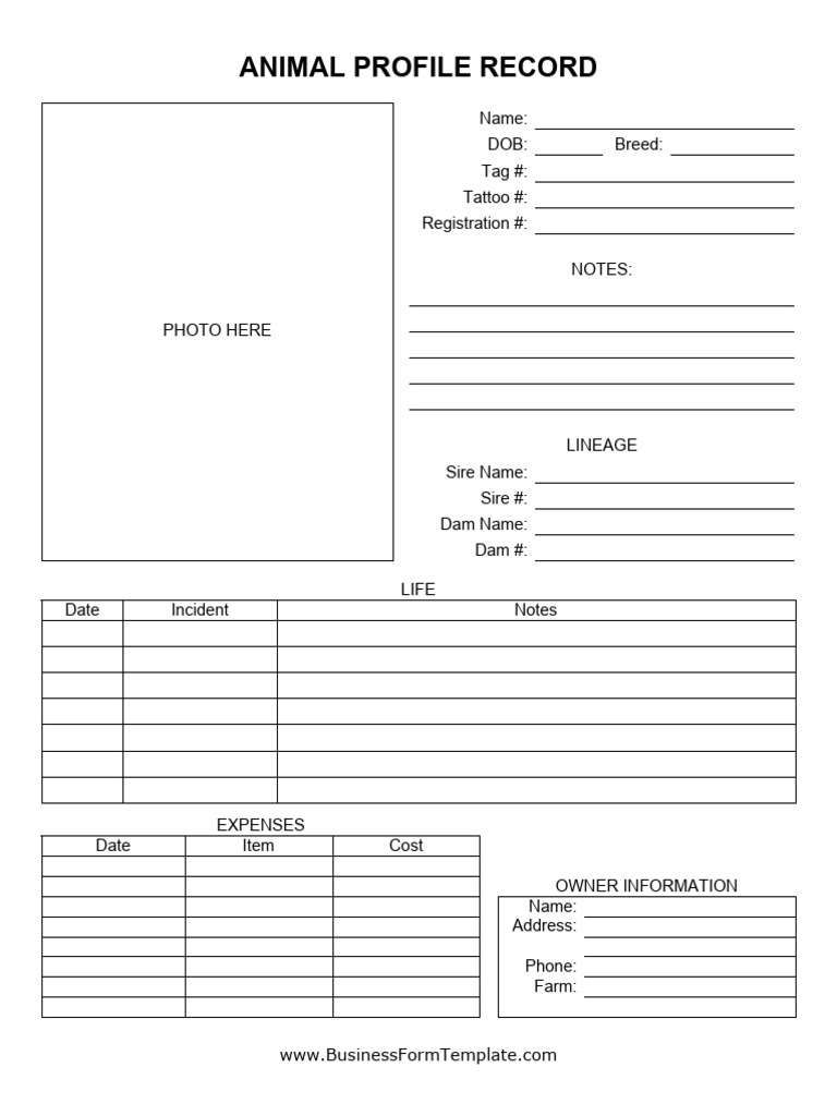 Animal Profile Record Template | PDF