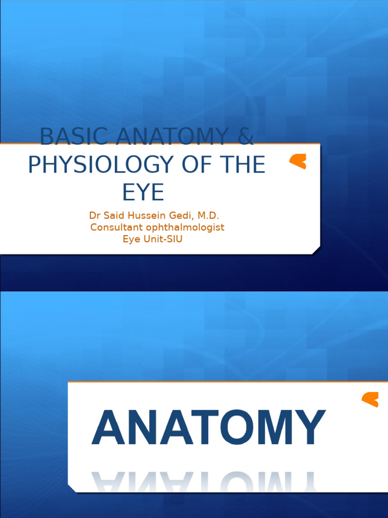 2- Anatomy and Physiology of the Eye (Dr. Said)-SIU | PDF | Visual ...
