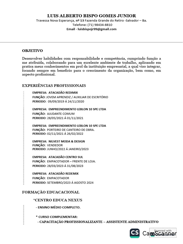 Curriculum - Luis Junior | PDF