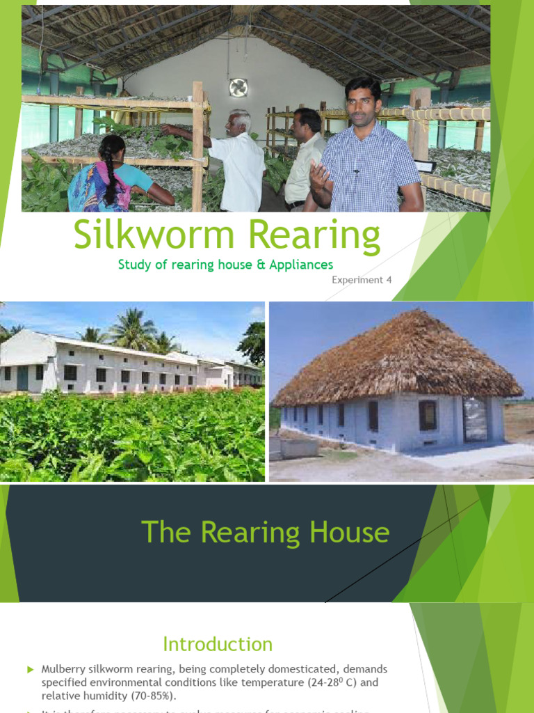 Rearing House and Appliancesi in Sericulture With New Techniques | PDF ...