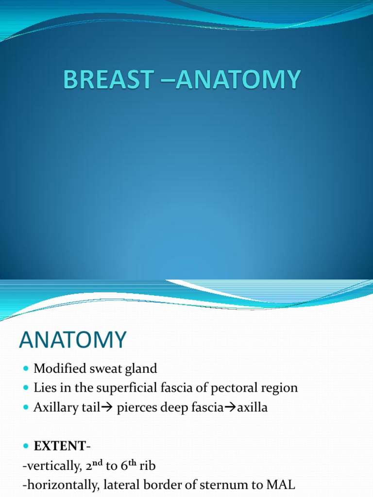 Breast - Anatomy | PDF