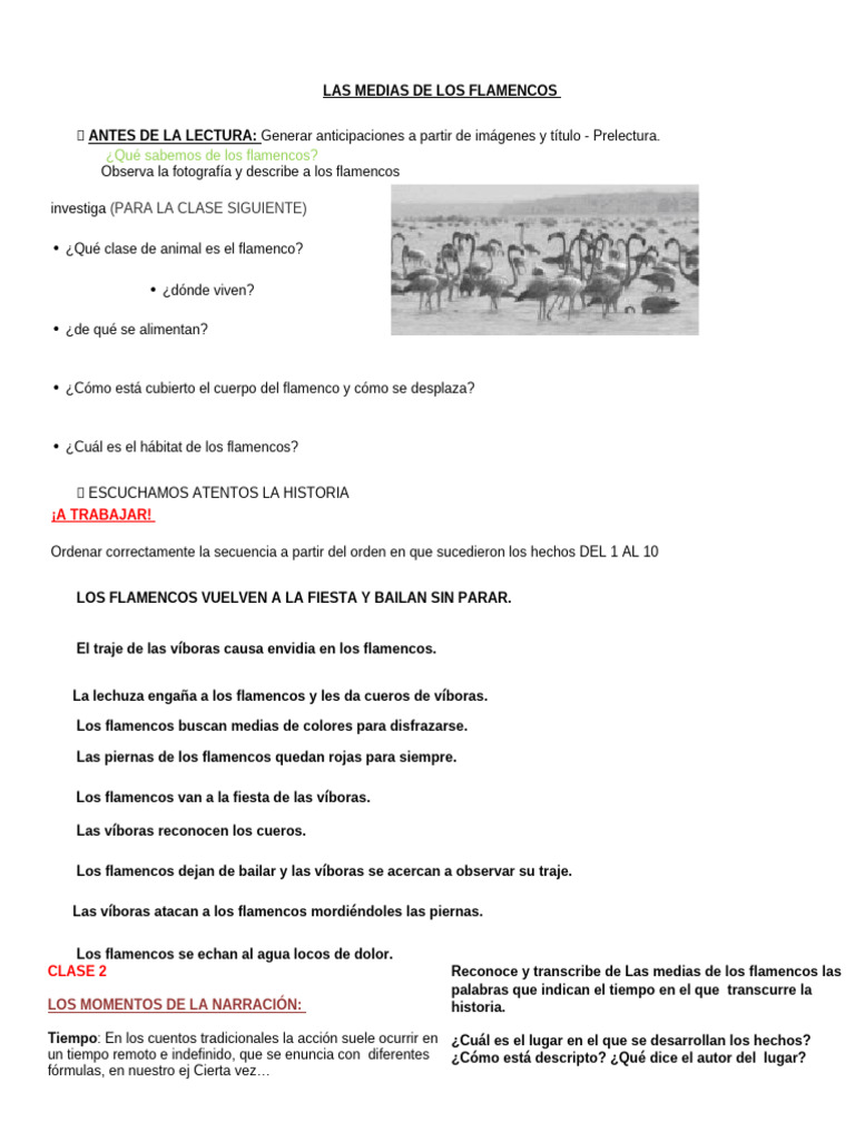Las medias de los flamencos | PDF | Género gramatical | Adjetivo