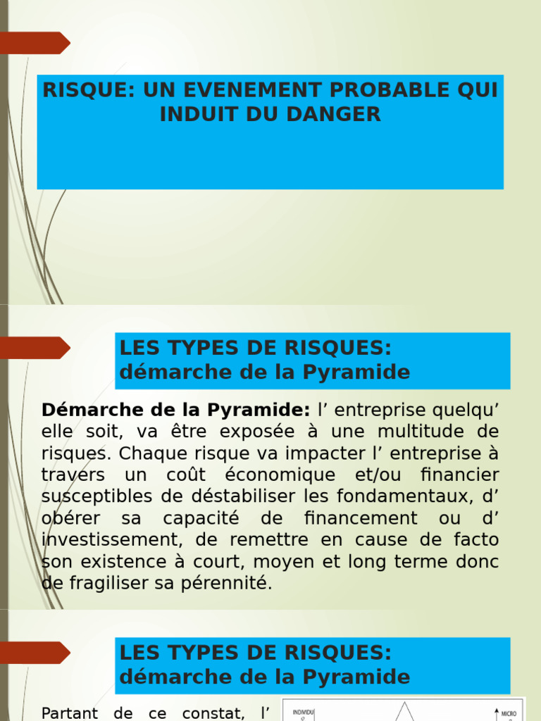 3 Le Risque | PDF | Risque | Business
