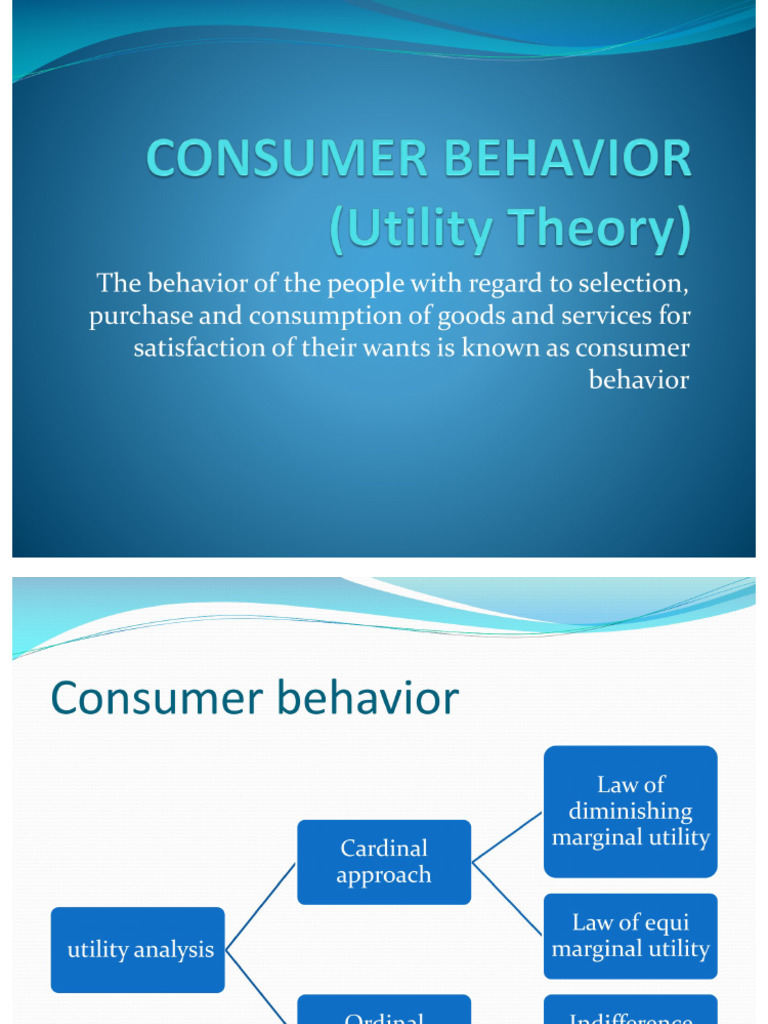 The Concept of Utility | PDF