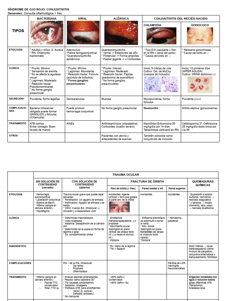 OFTALMO | PDF | Enfermedades y trastornos | Oftalmología