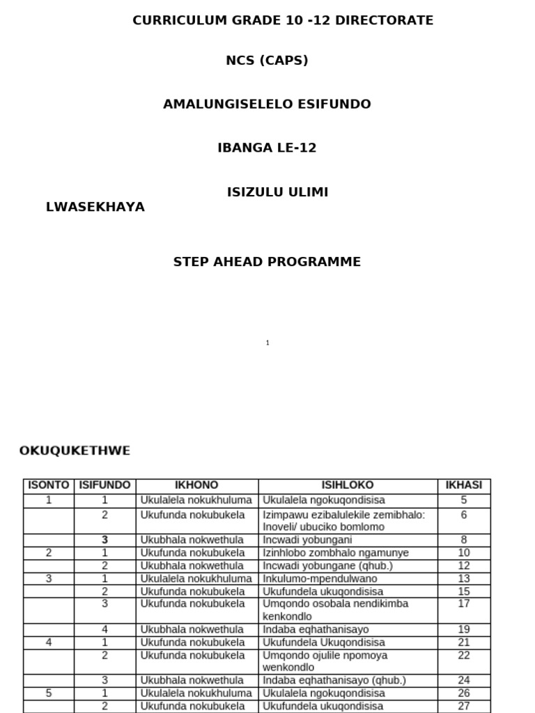 Isizulu HL Gr. 12 Lesson Plans - Final Version | PDF