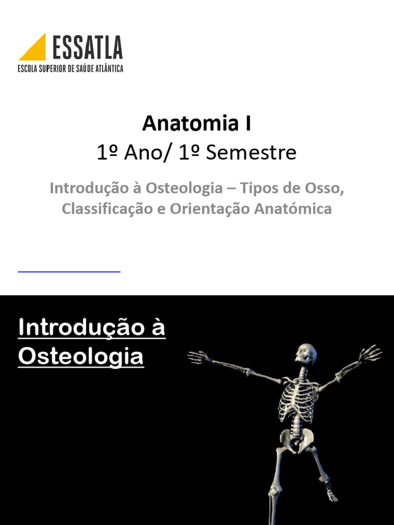 3 Anatomia I Osteologia | PDF | Osso | Esqueleto