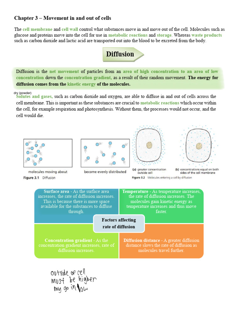 Bio - chap3 | PDF | Osmosis | Diffusion