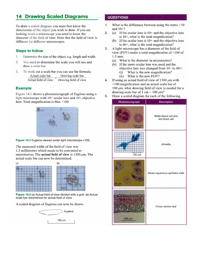 Drawing Scaled Diagram Review | PDF
