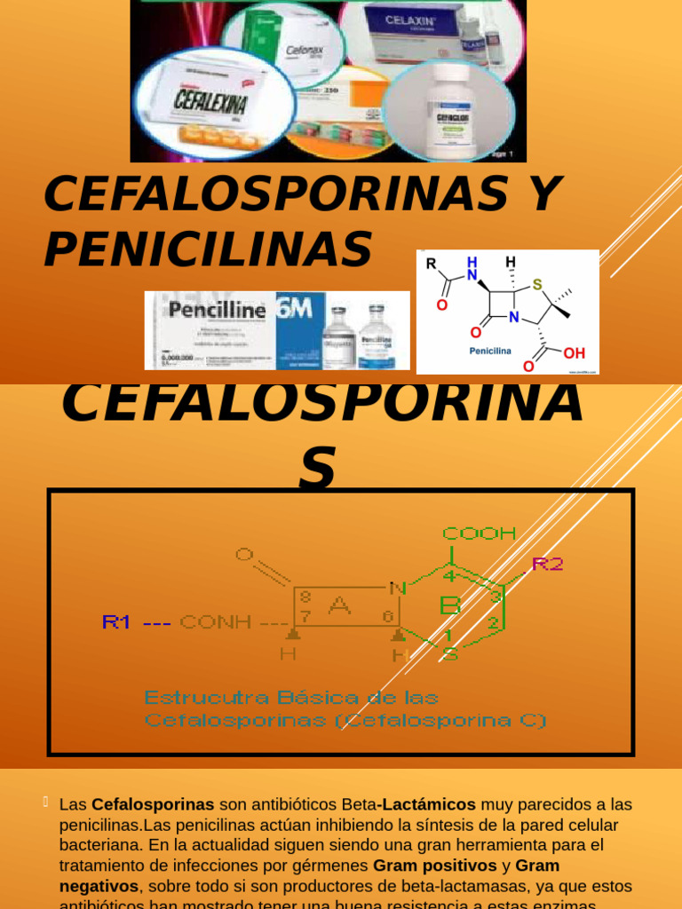Cefalo Sporin A | PDF | Penicilina | Antibióticos