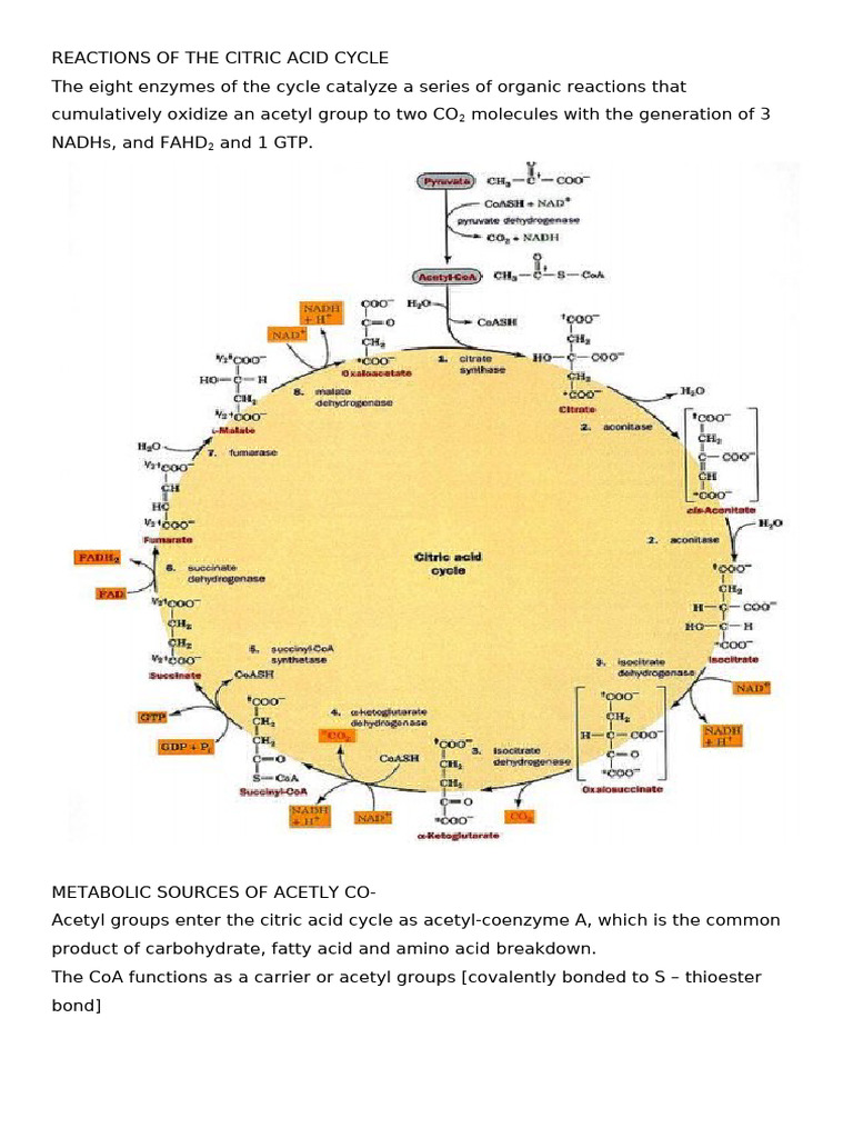 Citric Acid Cycle Reactions Overview | PDF | Diet & Nutrition | Chemistry