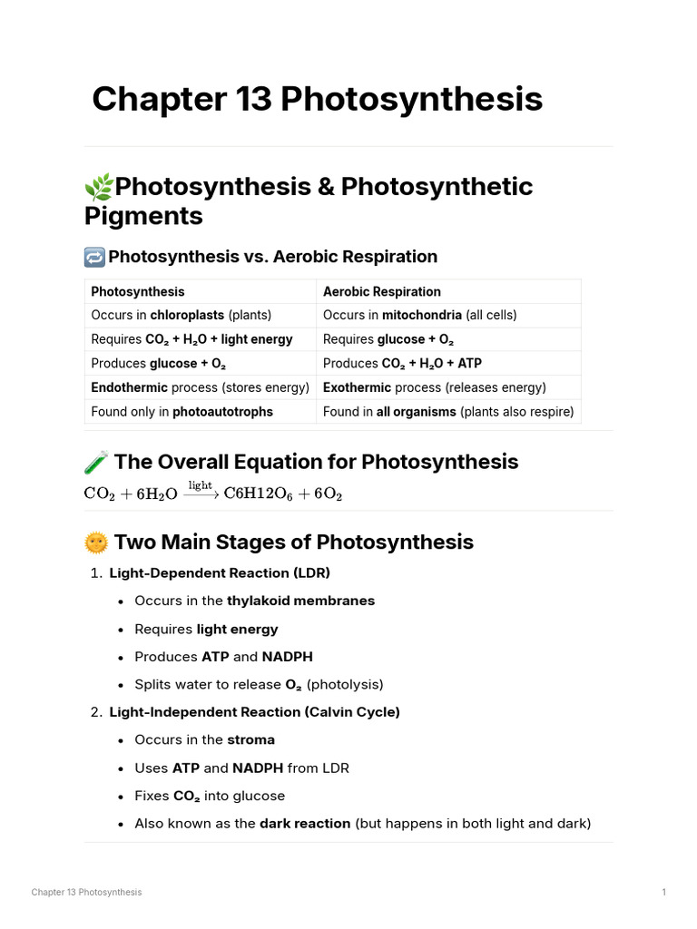 Understanding Photosynthesis Processes | PDF | Photosynthesis | Chloroplast