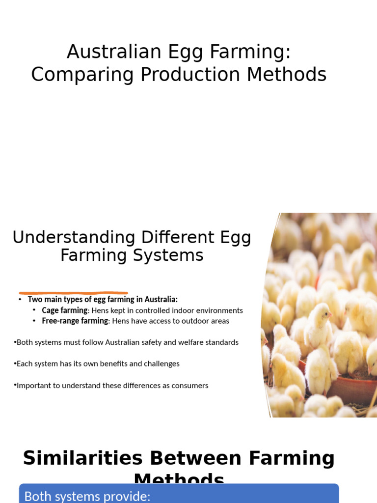 Egg Farming Methods in Australia | PDF