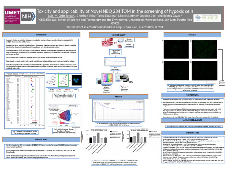 Luis Ortiz-Acs Poster 2018 | PDF | Cancer | Radiation Therapy