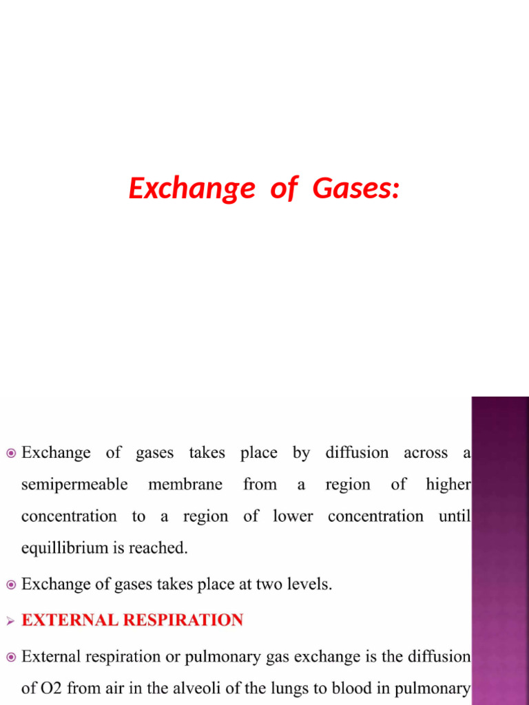 Gas exchange | PDF