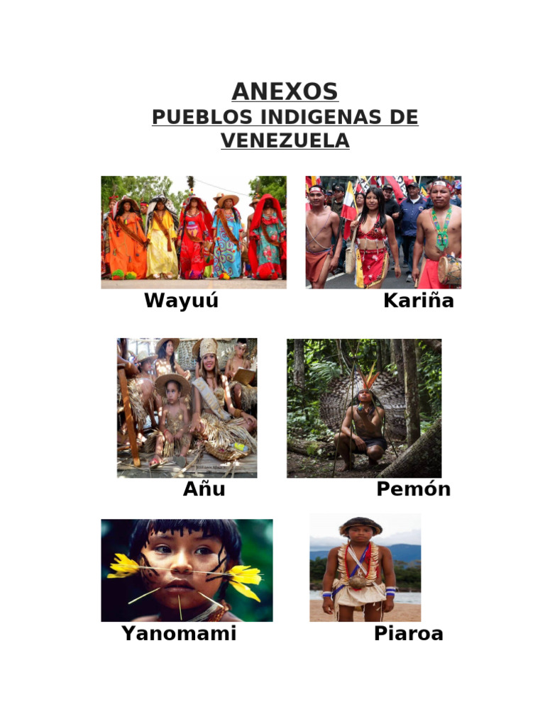 Pueblos Indigenas de Venezuela | PDF