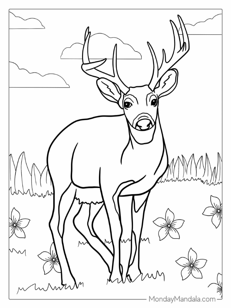 Realistic-Deer-With-Big-Antlers-Coloring-Sheet | PDF