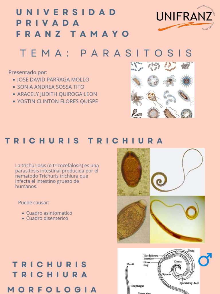 Oxiuriasis o Enterobiasis | PDF | Diarrea | Medicina CLINICA